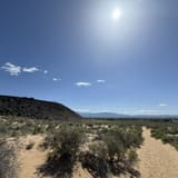 Rinconada Canyon Trail, New Mexico - 1,932 Reviews, Map | AllTrails