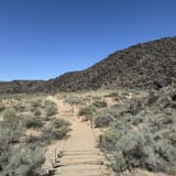 Rinconada Canyon Trail, New Mexico - 1,932 Reviews, Map | AllTrails