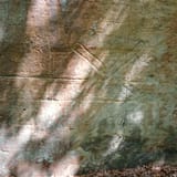 Piney Creek Ravine Nature Reserve Trail, Illinois - 448 Reviews, Map ...