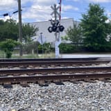 Doodle Trail, South Carolina - 624 Reviews, Map | AllTrails