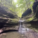 Trail #3 at Turkey Run State Park, Indiana - 1,370 Reviews, Map | AllTrails