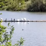 Link River Trail, Oregon - 480 Reviews, Map | AllTrails