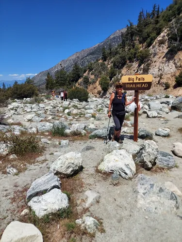 Best Waterfall Trails in Forest Falls | AllTrails