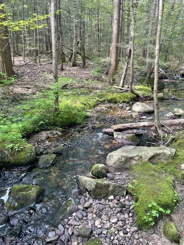 Best Waterfall Trails in Greenfield | AllTrails