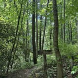 Big Berea Trail, Bull Creek Trail, and White Pine Loop, North Carolina ...