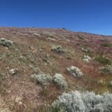 Keystone Canyon Trail, Nevada - 1,213 Reviews, Map | AllTrails