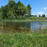 Guelph Lake Conservation Area Exterior Loop, Ontario, Canada - 42 ...