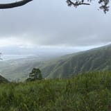 Waihe'e Ridge Trail, Maui, Hawaii - 8,785 Reviews, Map | AllTrails