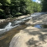 Meadow Run Trail, Pennsylvania - 1,234 Reviews, Map | AllTrails