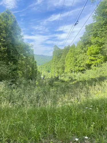 Best Forest Trails in Lenore | AllTrails