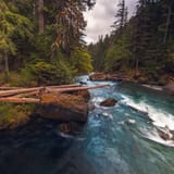 Staircase Rapids Loop, Washington - 2,572 Reviews, Map | AllTrails