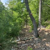 Sunset Rock State Park, Connecticut - 207 Reviews, Map | AllTrails