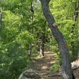 Sunset Rock State Park, Connecticut - 207 Reviews, Map | AllTrails