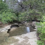 Cedar Ridge Outer Loop, Texas - 2,239 Reviews, Map | AllTrails