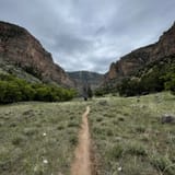 Jones Hole Trail, Utah - 278 Reviews, Map | AllTrails