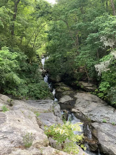 Best Hikes and Trails in Dana | AllTrails