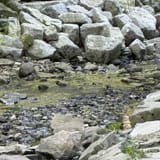 Moore Park Ravine Trail, Ontario, Canada - 1,327 Reviews, Map | AllTrails