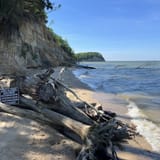 Calvert Cliffs Red Trail, Maryland - 1,616 Reviews, Map | AllTrails