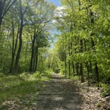 Fire Tower and Chet Bell Trail Loop, New York - 77 Reviews, Map | AllTrails