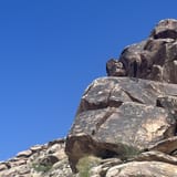 Grapevine Canyon Trail, Nevada - 542 Reviews, Map | AllTrails