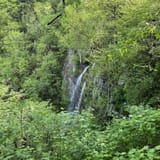 Lewis Spring Falls Trail, Virginia - 1,466 Reviews, Map | AllTrails
