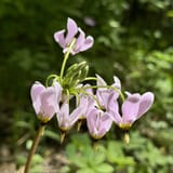 Parnell Tower Trail, Wisconsin - 873 Reviews, Map | AllTrails