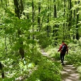 Parnell Tower Trail, Wisconsin - 873 Reviews, Map | AllTrails