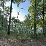 Iron Hill Loop, Georgia - 5,049 Reviews, Map | AllTrails