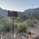 Basin Loop Trail, Texas - 1,168 Reviews, Map | AllTrails