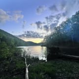 Tracy Ridge Hiking Trail System , Pennsylvania - 349 Reviews, Map ...