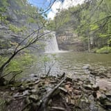 Foster Falls Base Trail, Tennessee - 746 Reviews, Map | AllTrails