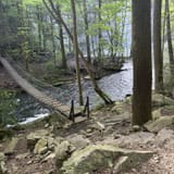 Foster Falls Base Trail, Tennessee - 746 Reviews, Map | AllTrails