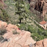 Angels Landing Trail, Utah - 27,505 Reviews, Map | AllTrails