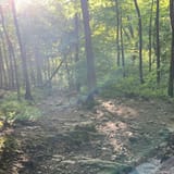 Mount Tammany via Red Dot and Blue Dot Loop Trail, New Jersey - 13,268 ...
