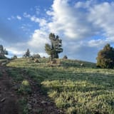 Mount Morrison Trail, Colorado - 5,855 Reviews, Map | AllTrails