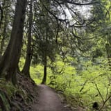 Chuckanut Falls, Washington - 635 Reviews, Map | AllTrails