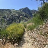 Marble Falls Trail, California - 1,904 Reviews, Map | AllTrails