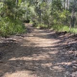 Pages Pinnacle , Queensland, Australia - 1,432 Reviews, Map | AllTrails