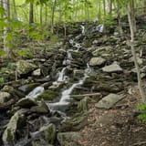 Cascade Falls Loop Trail, Massachusetts - 875 Reviews, Map | AllTrails
