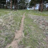 Canyon Loop, Colorado - 1,493 Reviews, Map | AllTrails