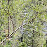 Spring Creek and Flume Trail Loop, South Dakota - 898 Reviews, Map ...