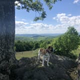 Black Ridge Trail, Virginia - 655 Reviews, Map | AllTrails