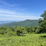 Pass Mountain Loop, Virginia - 215 Reviews, Map | AllTrails