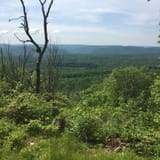 Old Loggers Path, Pennsylvania - 683 Reviews, Map | AllTrails