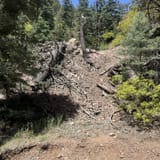 Chamisa Trail, New Mexico - 1,318 Reviews, Map | AllTrails