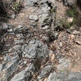 Chamisa Trail, New Mexico - 1,300 Reviews, Map | AllTrails