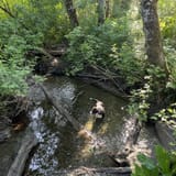 Ripple Rock Trail, British Columbia, Canada - 835 Reviews, Map | AllTrails