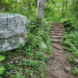 King's Bluff Loop Trail, Arkansas - 373 Reviews, Map | AllTrails