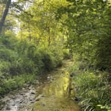 Rachel Carson Greenway and Northwest Branch Trail, Maryland - 1,369 ...