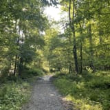 Rachel Carson Greenway and Northwest Branch Trail, Maryland - 1,369 ...